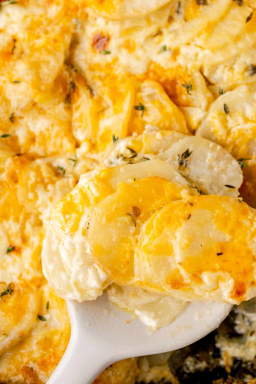 Cheesy Cast Iron Scalloped Potatoes Au Gratin – The Sassy Foodie