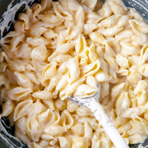 Creamy Shells and Cheese – The Sassy Foodie