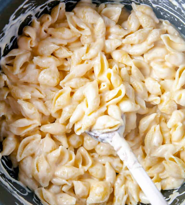 Creamy Shells and Cheese – The Sassy Foodie
