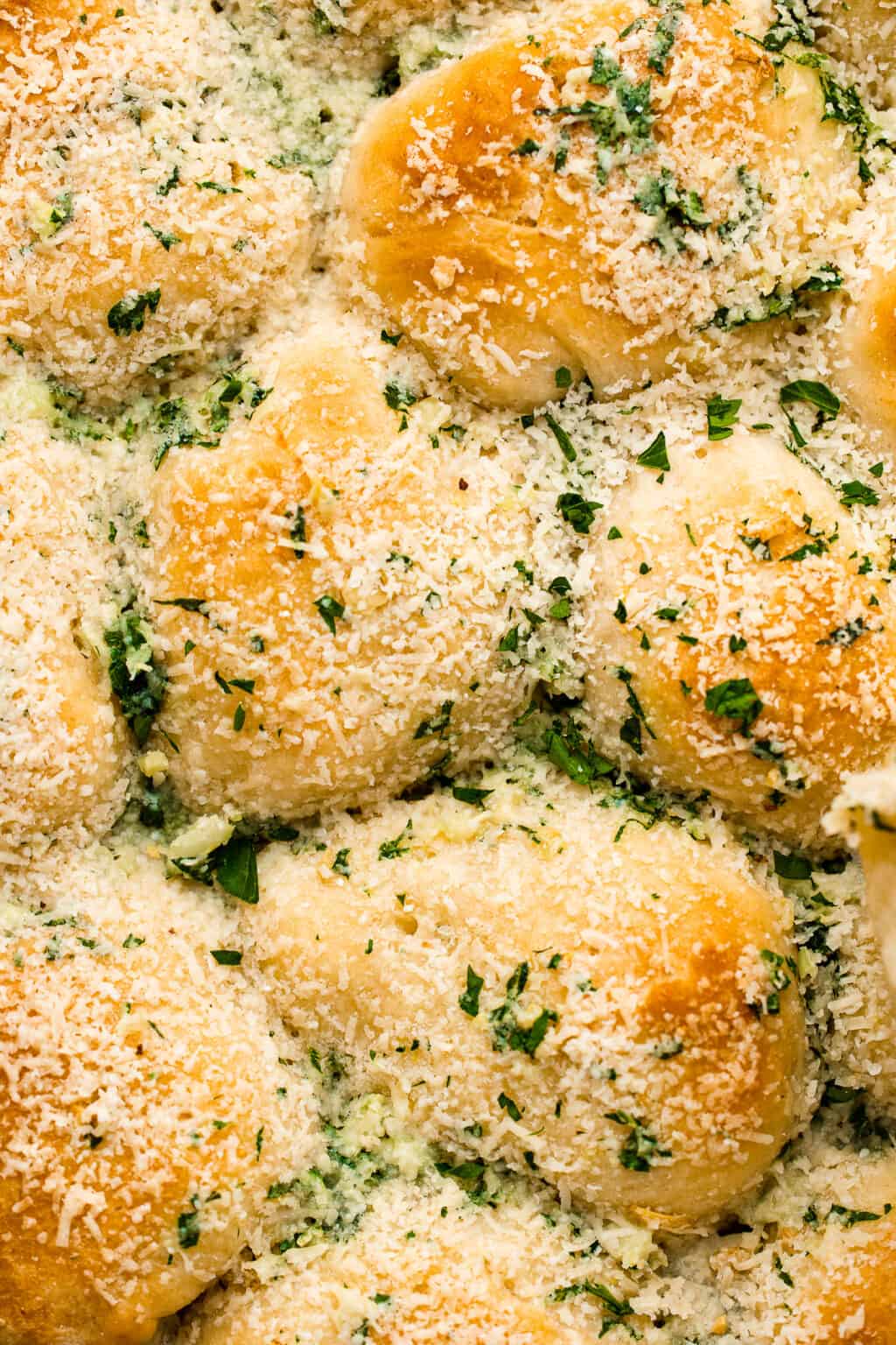 Garlic Parmesan Skillet Rolls {Yeast Dough!} – The Sassy Foodie