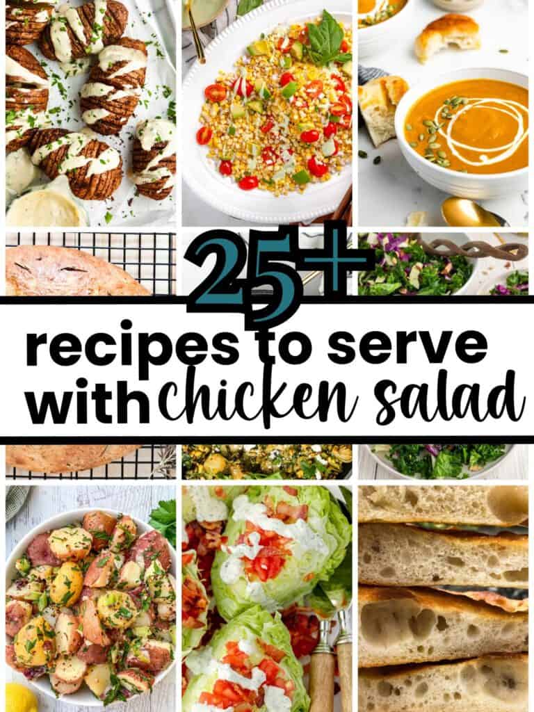 25+ Best Recipes to Serve with Chicken Salad – The Sassy Foodie